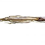 There is Time for Decay – Cindy QIAO