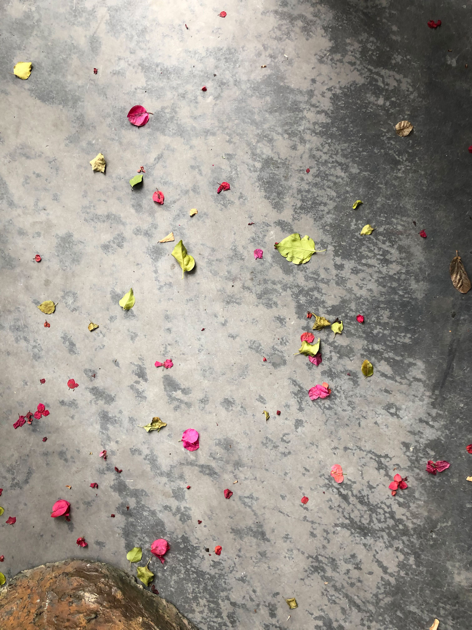 Our Land – Cindy QIAO