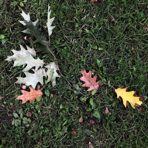 About – Cindy QIAO